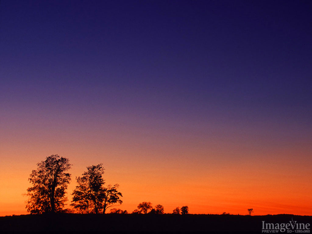 God's Creation Backgrounds Bundle – ImageVine