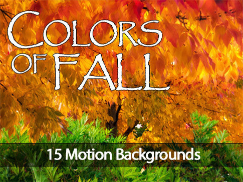 Colors of Fall Motions – ImageVine