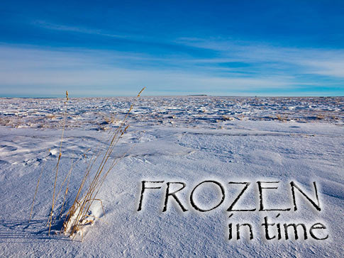Frozen in Time Backgrounds – ImageVine